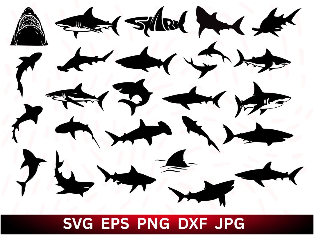 Shark Svg Bundle, Shark Png, Sharks Svg, Cute Shark Svg, Shark Clipart ...