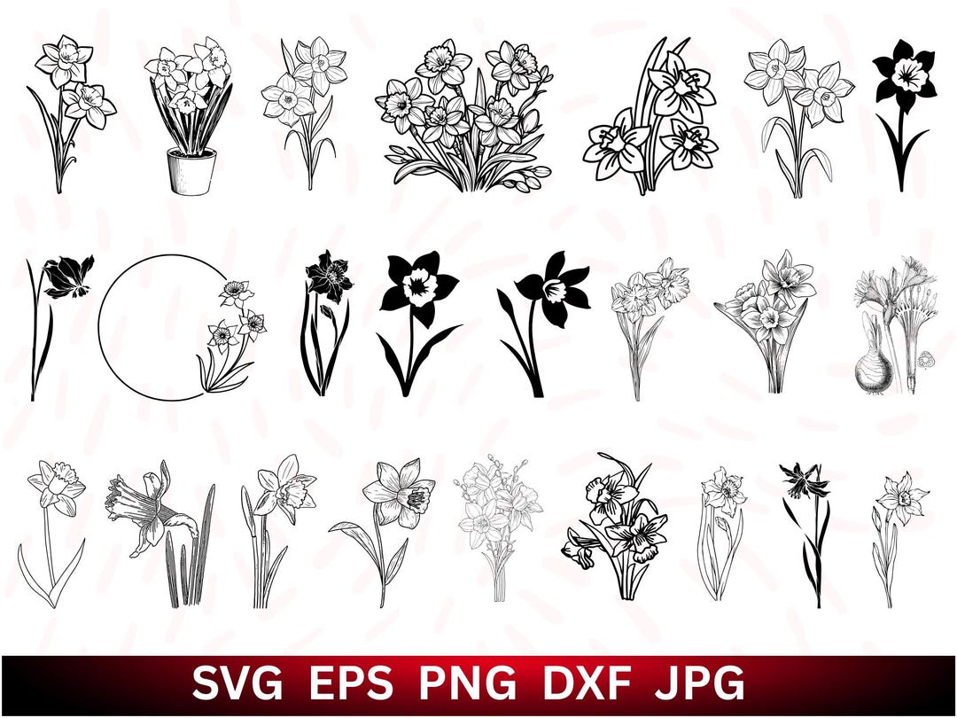 Daffodil Flowers SVG Bundle: Cricut Clipart (instant Download) - Etsy