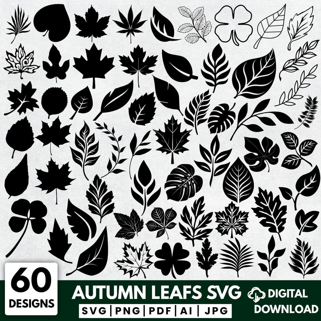 Autumn Leaves SVG Bundle: Maple Leaf, Fern, and Fall Silhouettes - Etsy