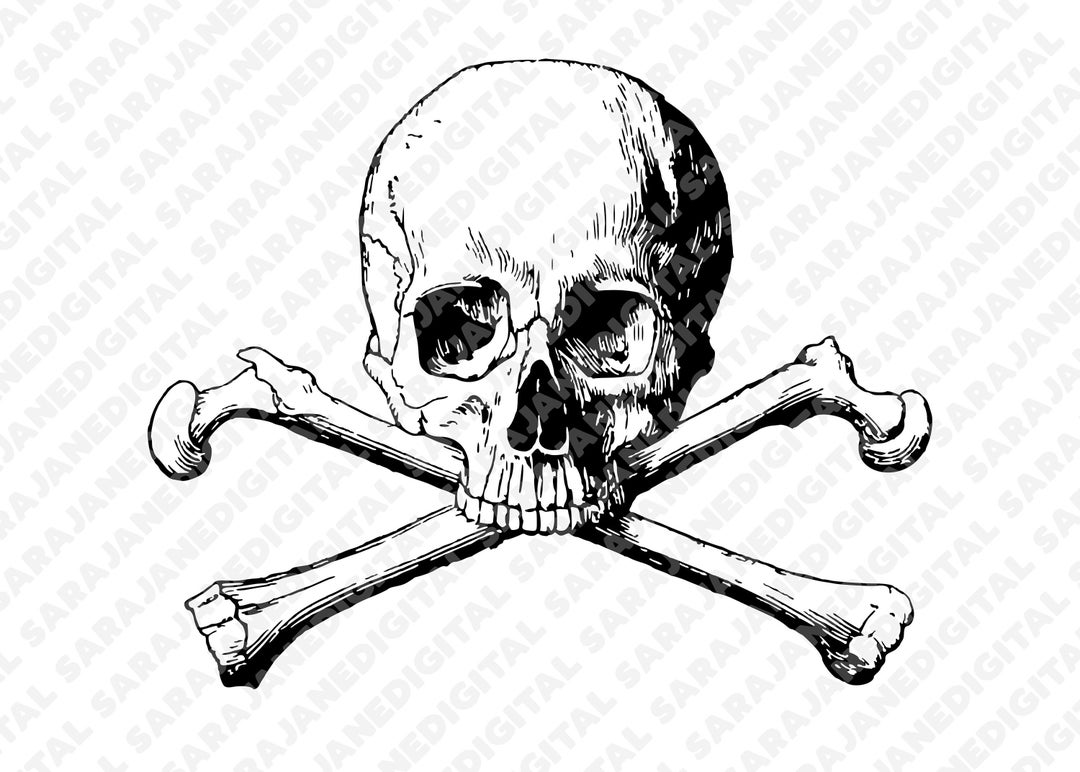 Skull and Cross Bones Human Skeleton Halloween Spooky PNG SVG, Vintage ...