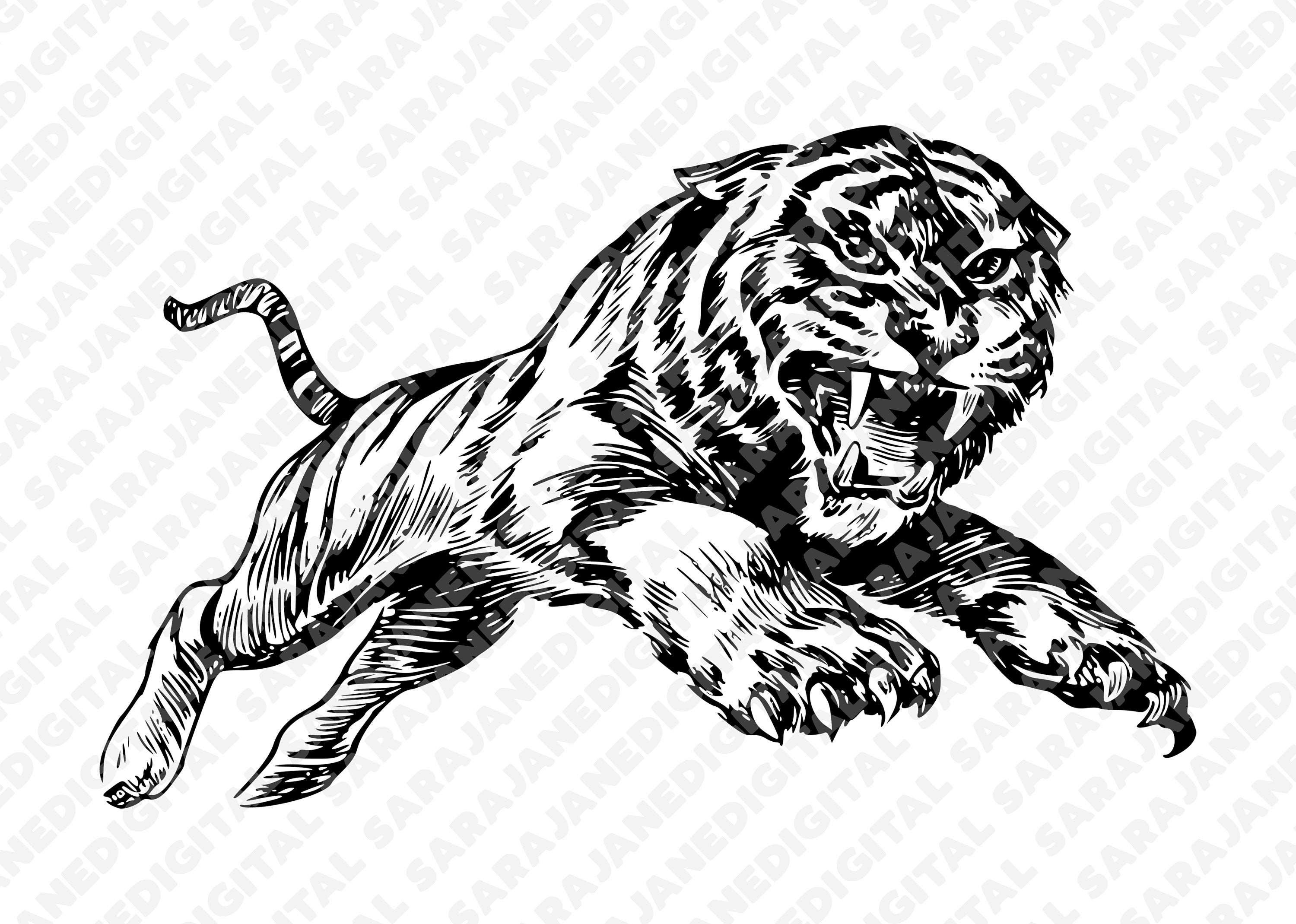 Jumping Tiger Cat Predator Wild Animal PNG SVG Vintage Illustration ...