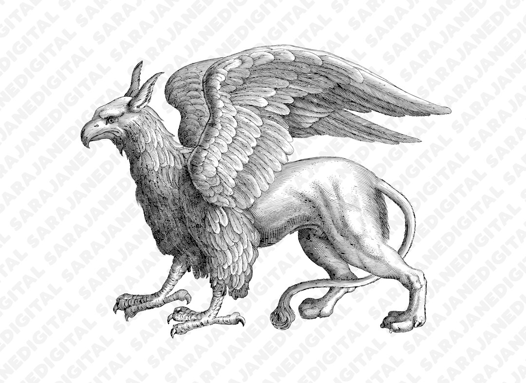 Griffon Mythical Creature Fantasy Greek PNG SVG, Vintage Illustration ...
