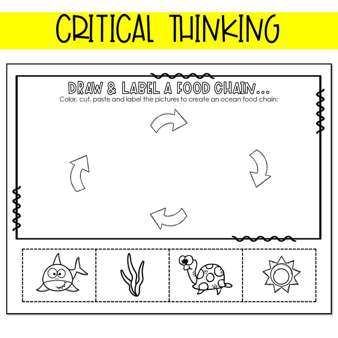 Food Chains & Food Webs Science Worksheets: Homeschool Activities - Etsy