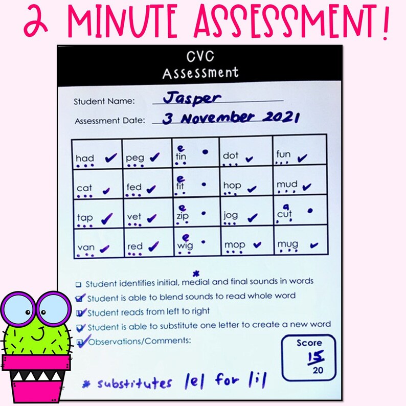 Phonics Assessment Worksheets: CVC, Blends, Digraphs - First Grade ...