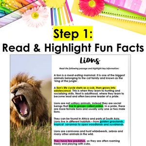 Animal Report Research Project: Homeschool Printable, Grades 2-4 - Etsy