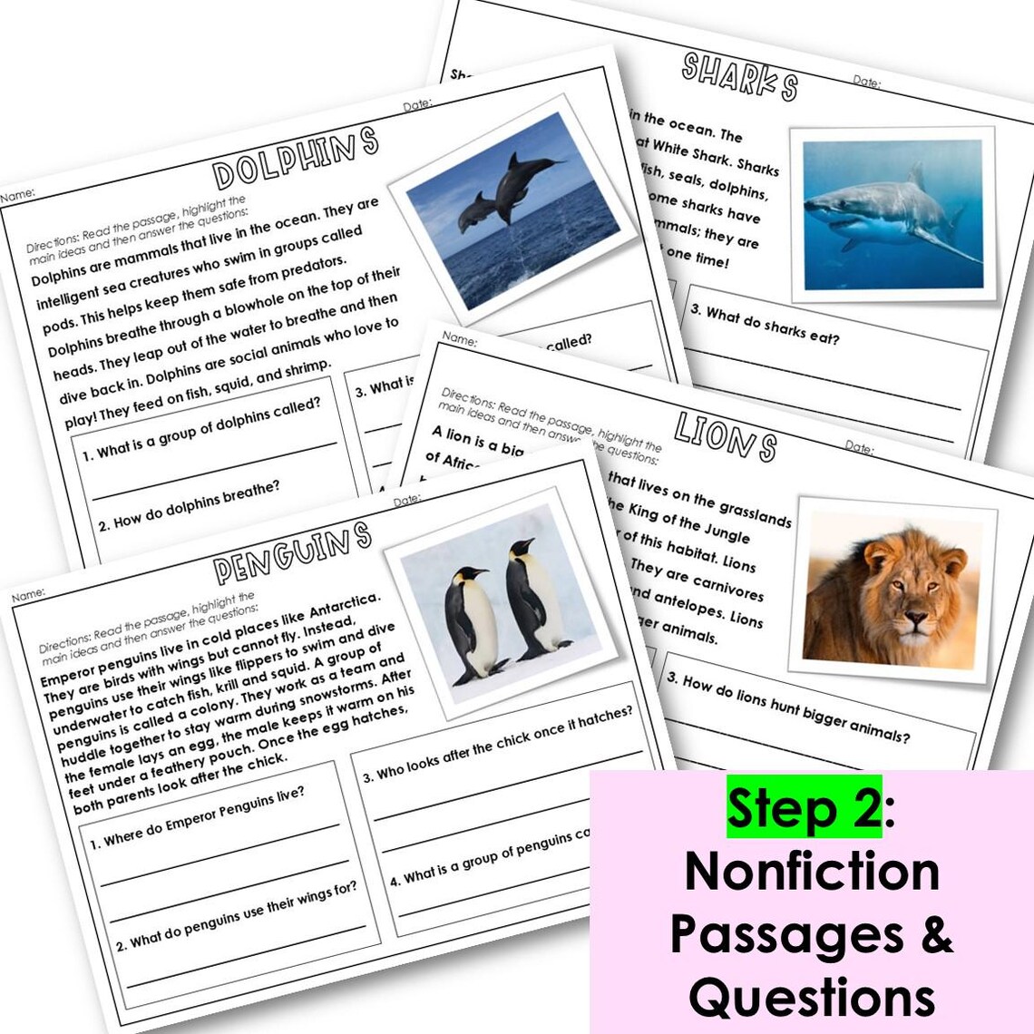 2nd Grade Animal Reading Comprehension Worksheets: Fluency Practice ...