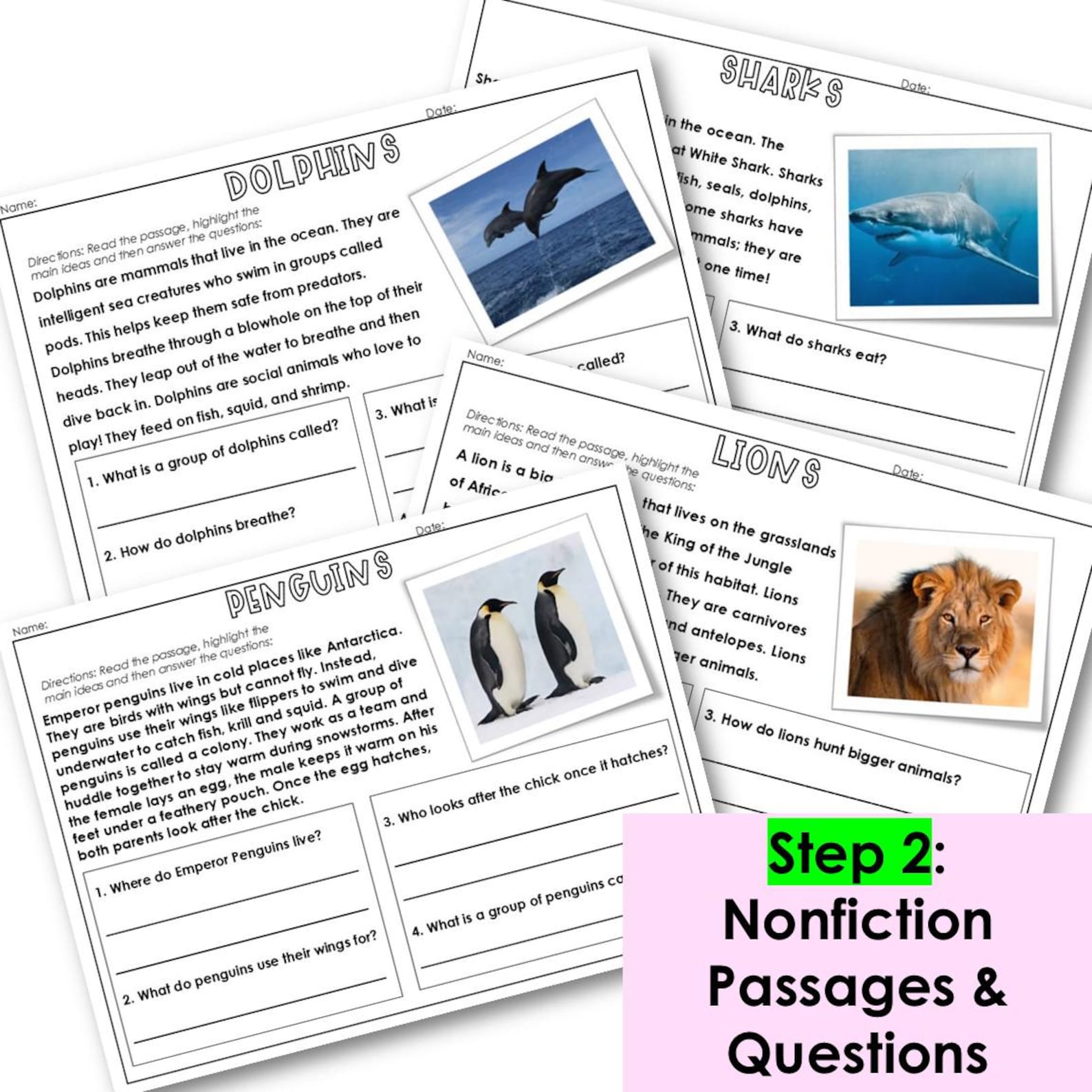 2nd Grade Animal Reading Comprehension Worksheets: Fluency Practice ...