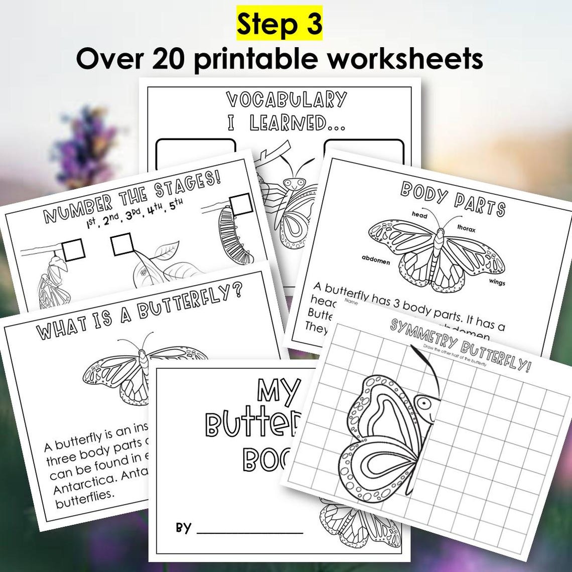 Butterfly Life Cycle Worksheet: Science & Literacy Activities - Etsy