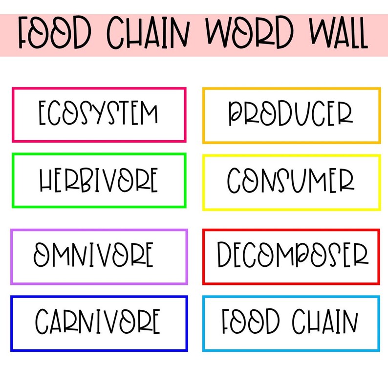 Food Chains and Food Webs Worksheets Printable Worksheets for Kids ...
