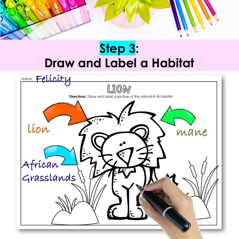 2nd Grade Animal Reading Comprehension Worksheets: Fluency Practice ...