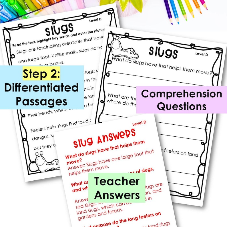 2nd Grade Comprehension Passages - Reading Worksheets - Printable ...