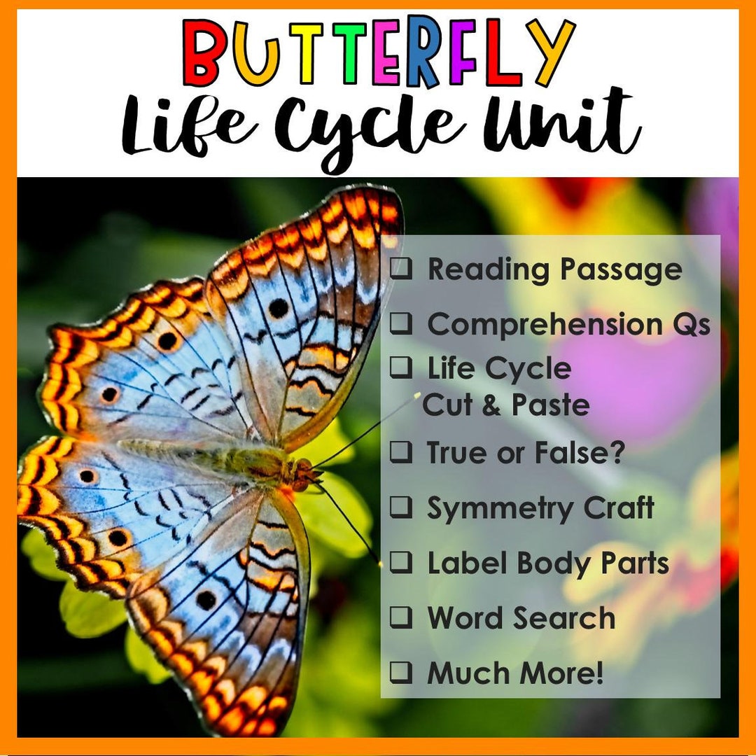 Butterfly Life Cycle Worksheet: Science & Literacy Activities - Etsy
