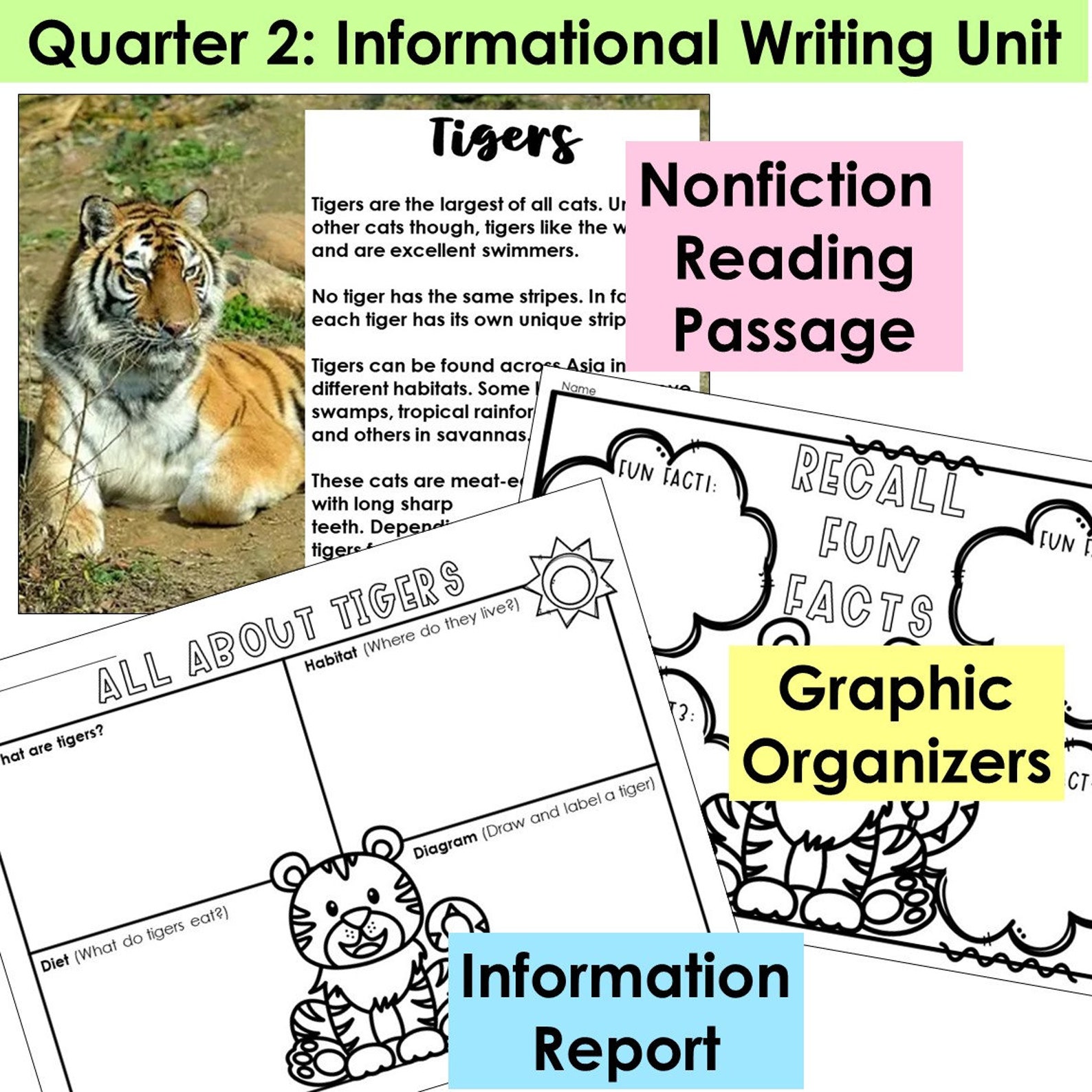 Year Long Writing Bundle: Personal Narrative, Opinion, Animal Research ...