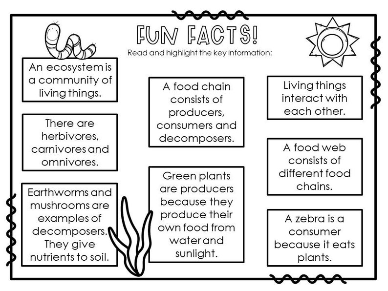 Food Chains and Food Webs Worksheets Printable Worksheets for Kids ...