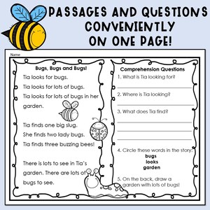 Reading Comprehension Worksheets - Decodable Text - Phonics Worksheets ...