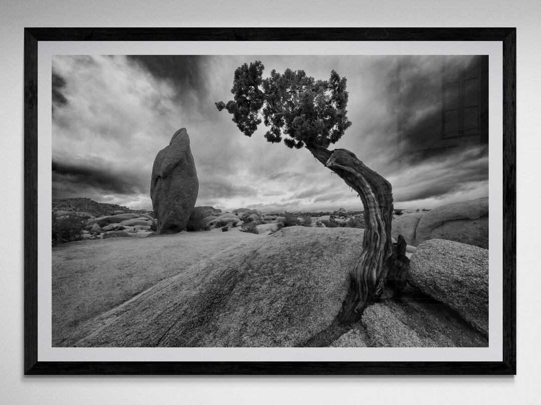 Penguin Rock Joshua Tree Landscape Print - Etsy