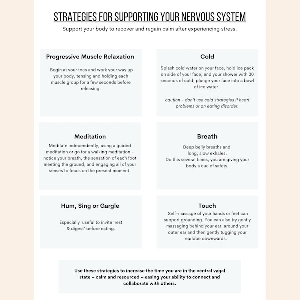 Nervous System Regulation Worksheet - Etsy