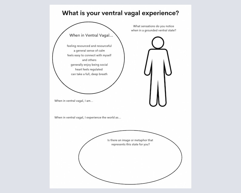 Polyvagal Theory Worksheet / Nervous System States / Three State ...
