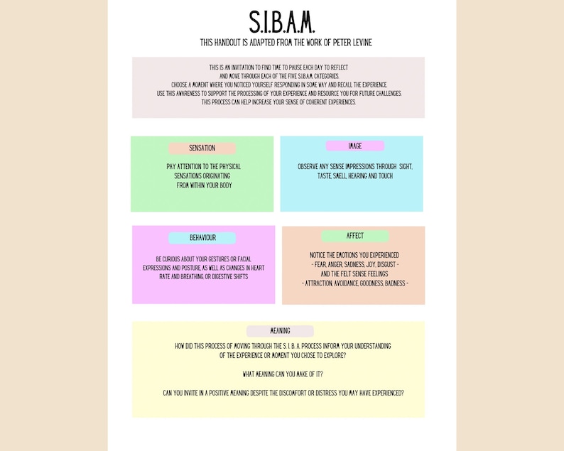 SIBAM Process Handout / Supporting Coherent Experiences / Somatic ...