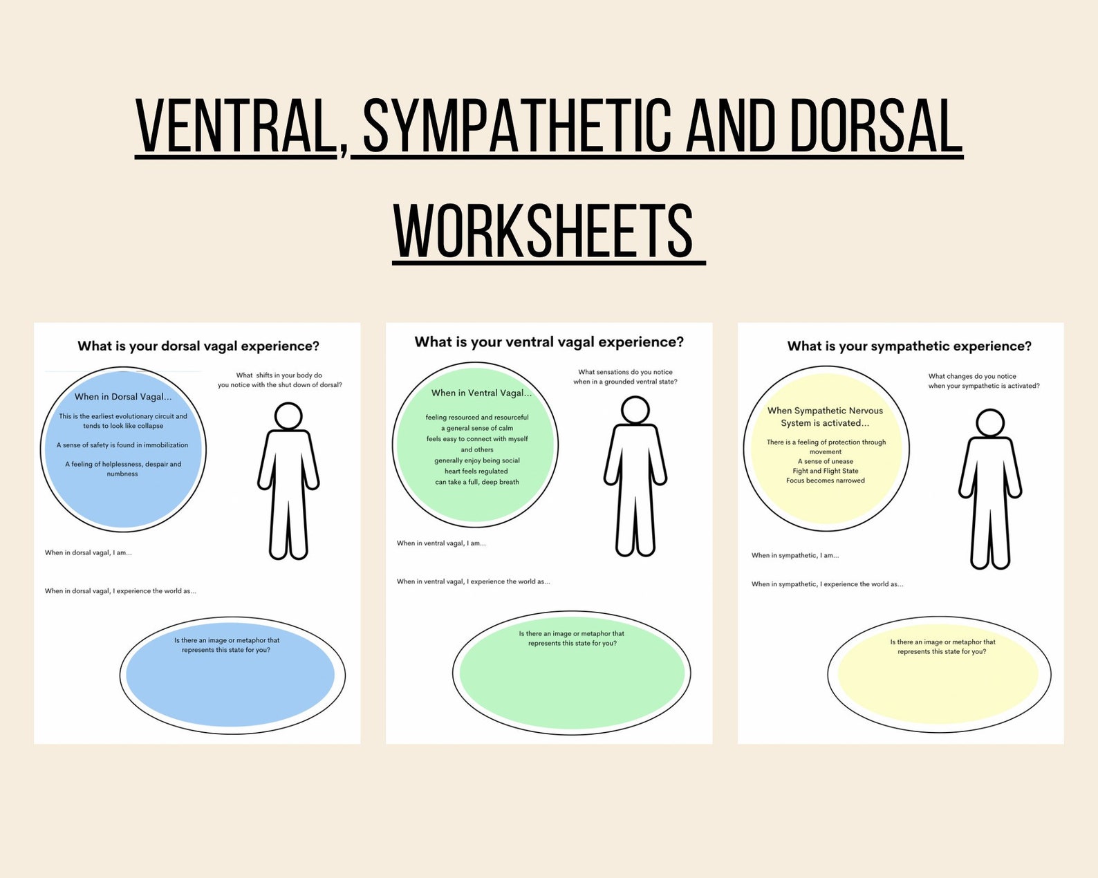 Polyvagal Theory Worksheet: Nervous System States (digital Download) - Etsy