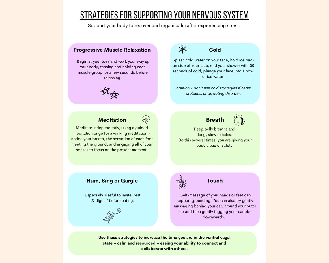 Nervous System Regulation Handout / Mental Health / Therapist Worksheet ...