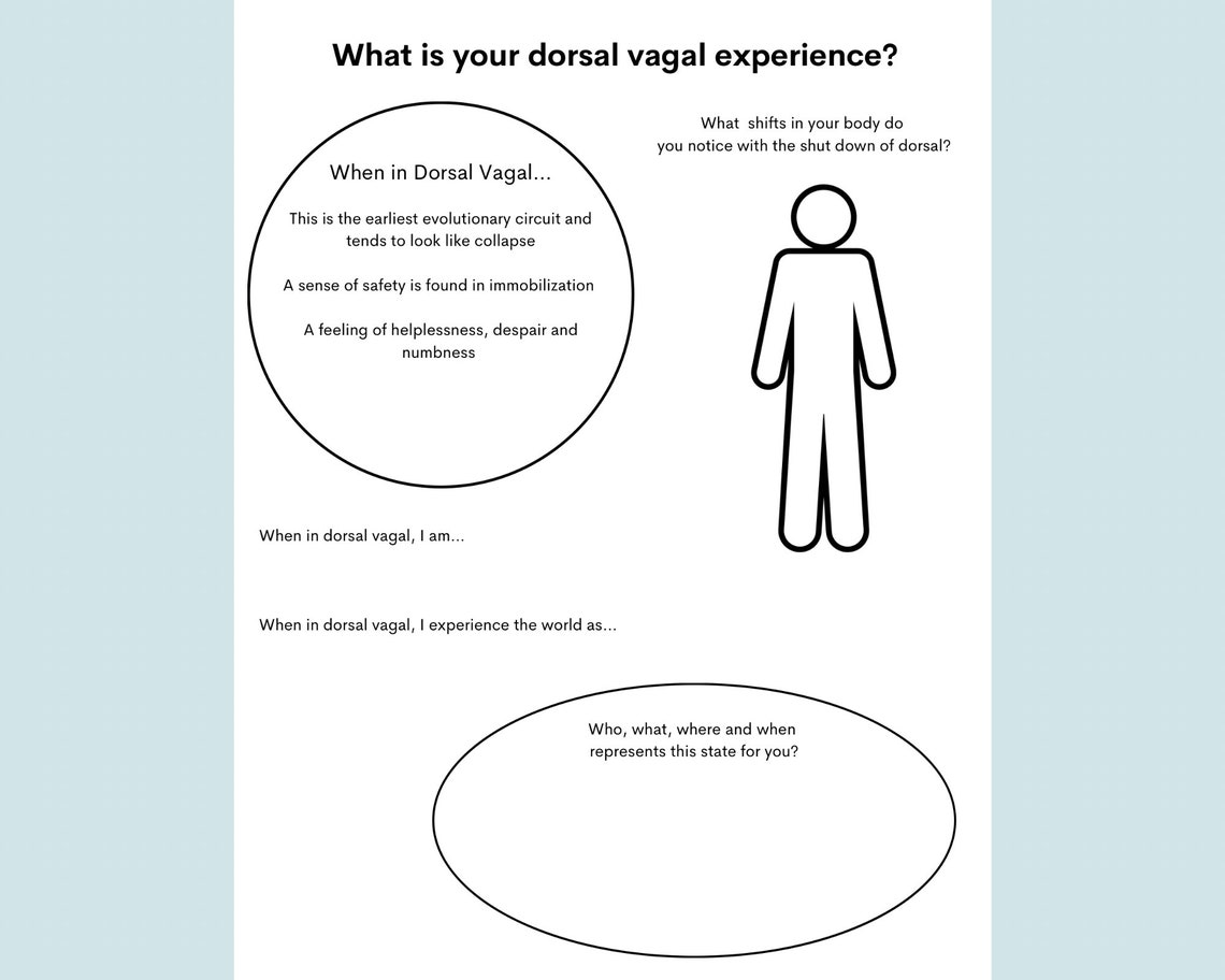 Polyvagal Theory Worksheets: Nervous System Mapping (PDF Digital ...