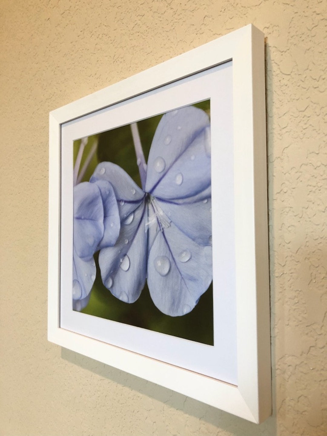 Blue Raindrops | Framed Limited Edition Photography Print | 8x8" Print ...