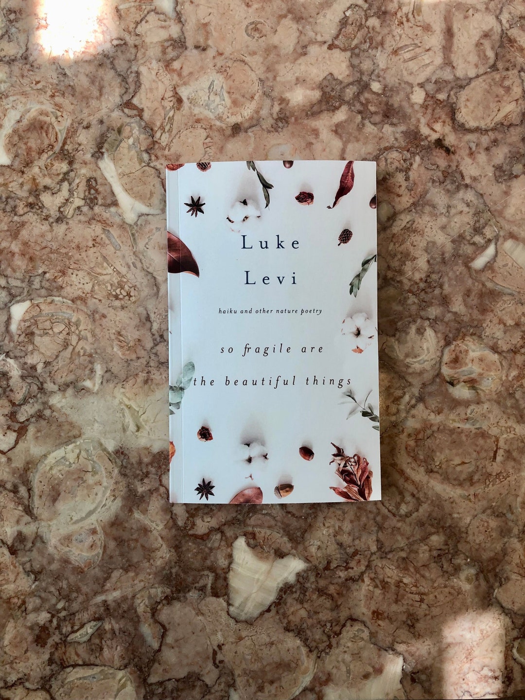 Signed Nature Poetry Book: Lyrical Meditations by Luke Levi - Etsy