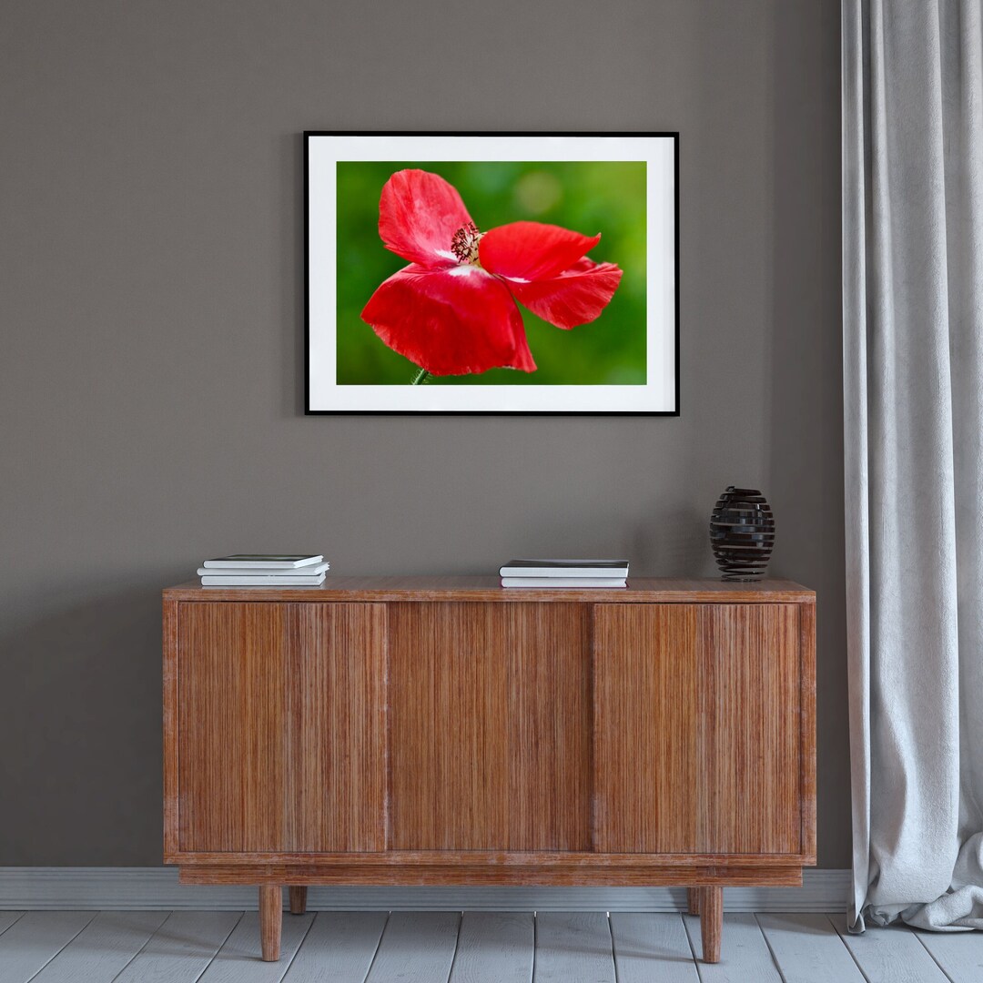 Red Poppy Fine Art Photography Print: Luke Levi Flower Photo - Etsy