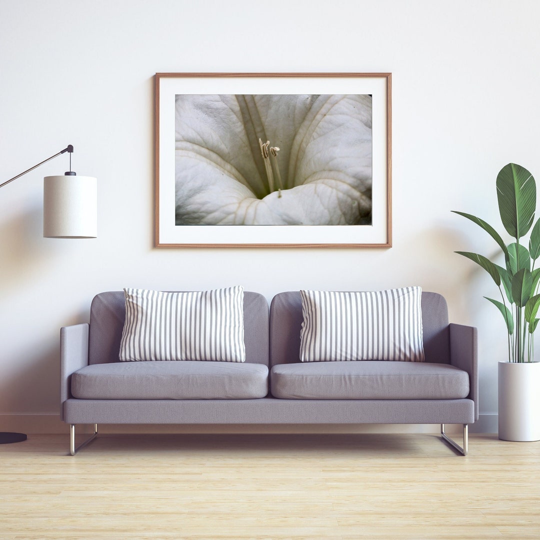 Moonflower: Fine Art Photography Print - Etsy