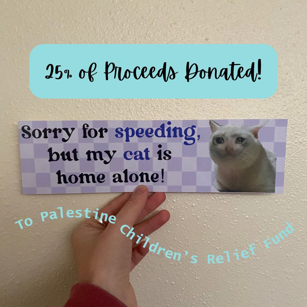 Sorry for Speeding, My Cat is Home Alone Sticker - Etsy