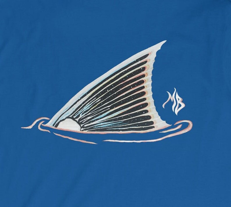 Redfish Tail, Tailing Red, Flats Fishing for Red Drum, Redfish Angler ...