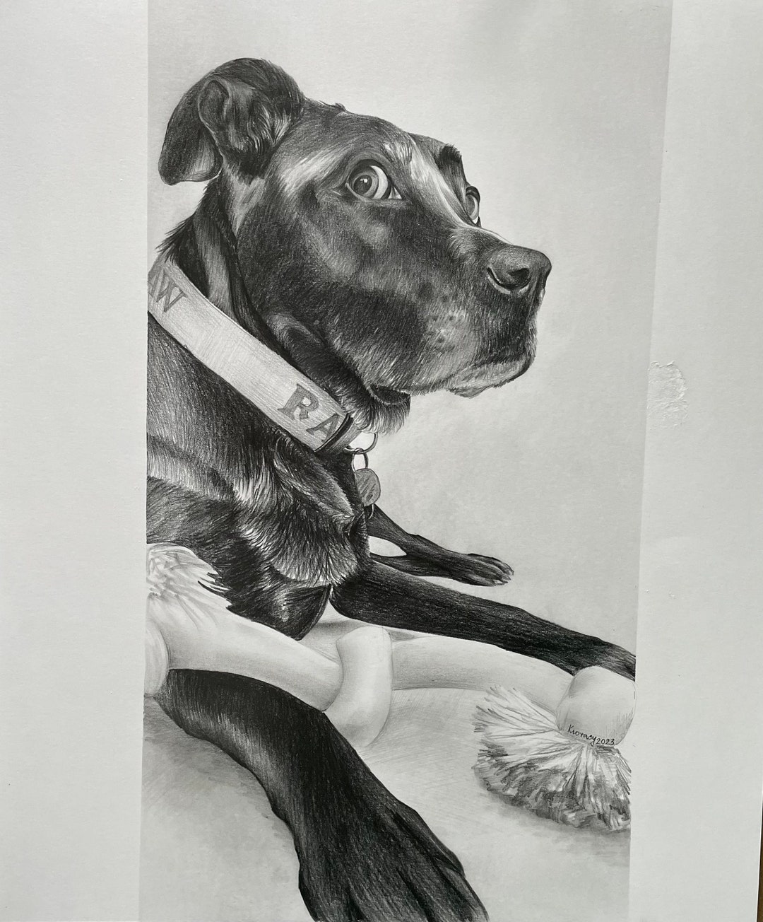 Custom Pencil Pet Portrait | Hand Drawn Pet Portrait | Pets Memorial ...