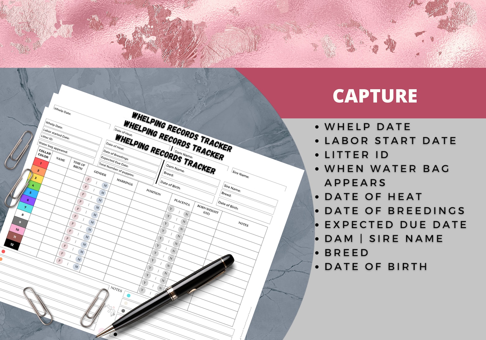 Printable Puppies Whelping Tracker Collar Color Coded Form - Etsy