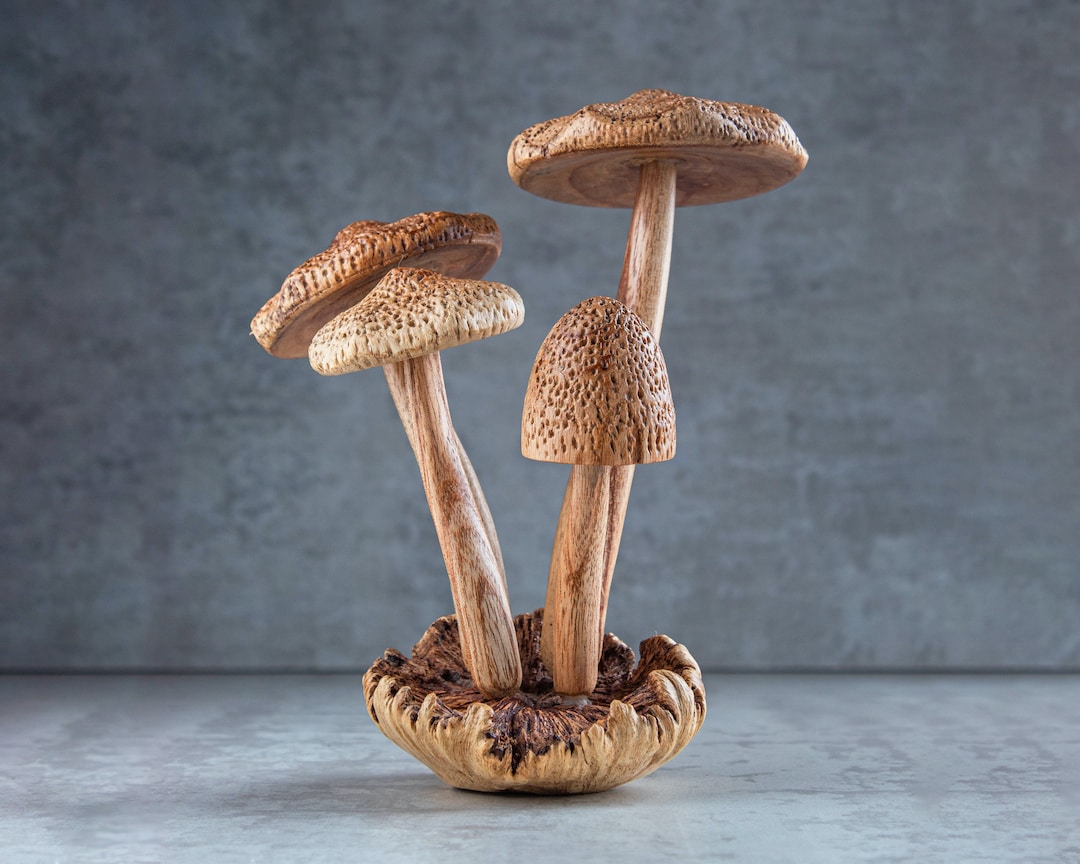 Mushroom Statue 9 Tall Wooden Mushroom Sculpture Handmade Gift L Home ...