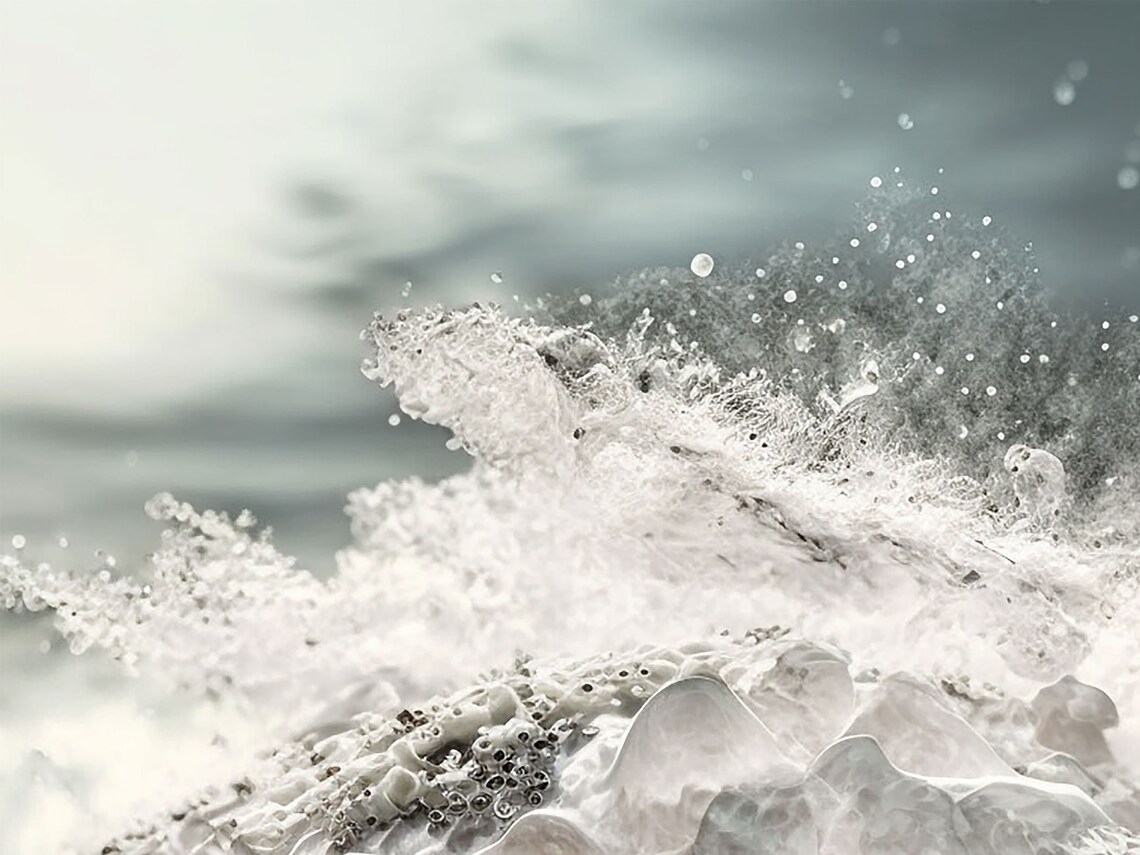 Sea Foam With Sea Shell Art on Beach, Biophilic Wall Art, Cottage ...