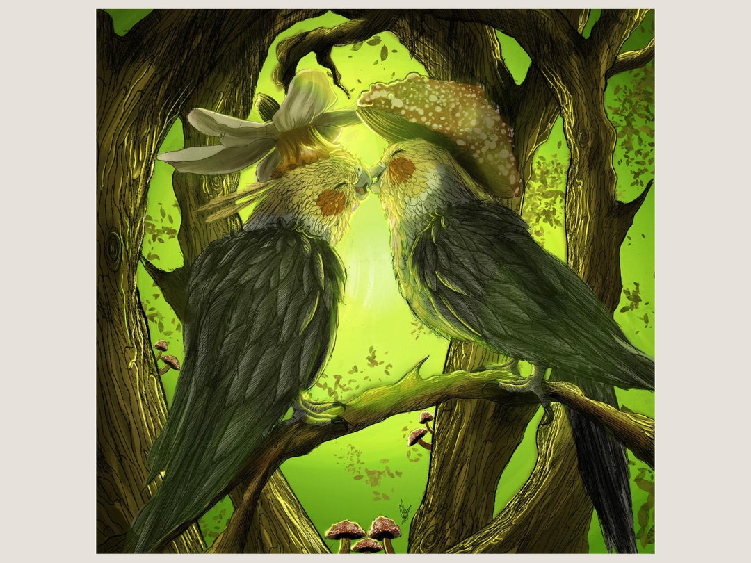 Cockatiel Love Greeting Card: Bird Art Thank You Card - Etsy
