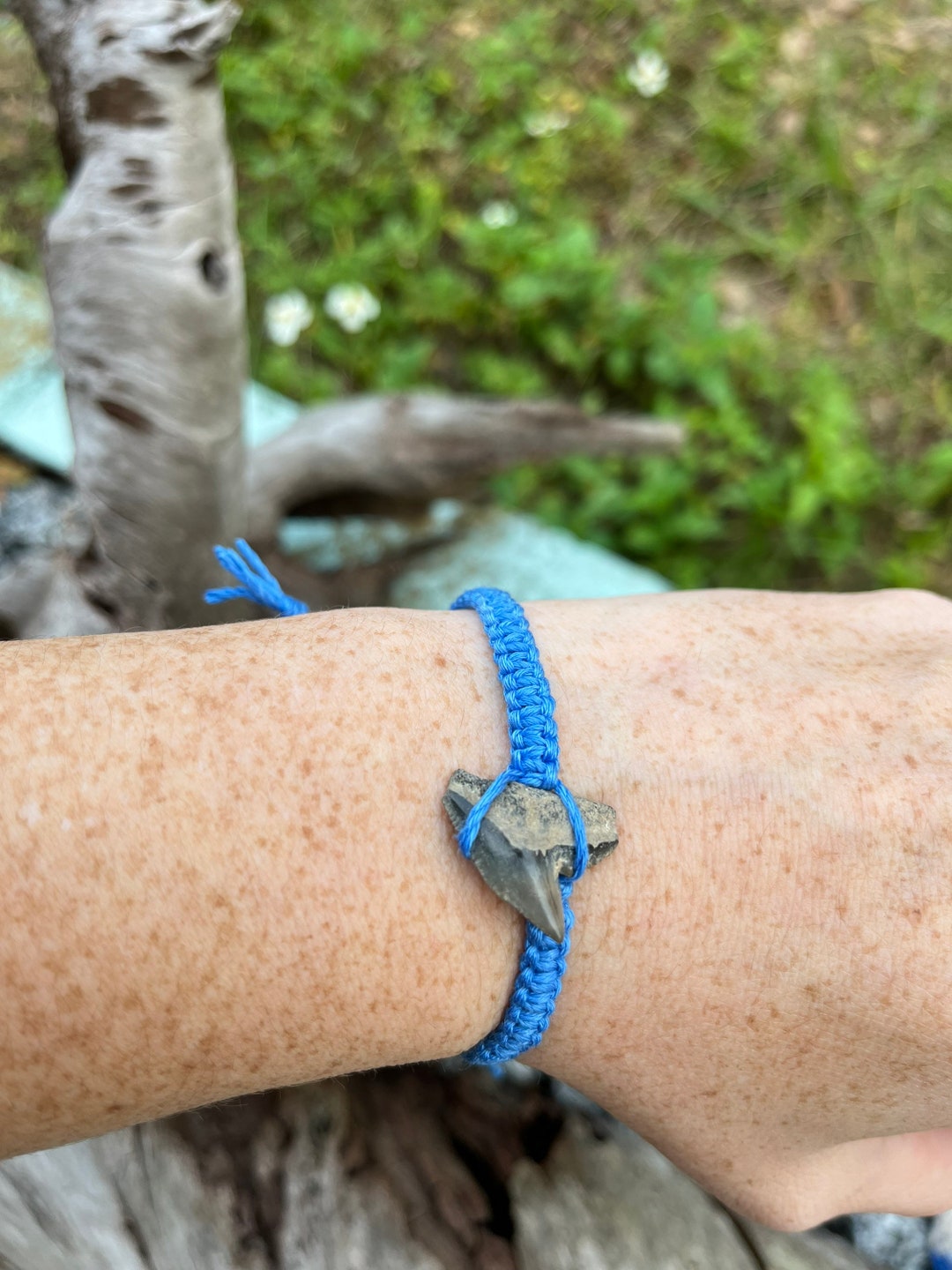 Custom Fossil Shark Tooth Bracelet - Etsy