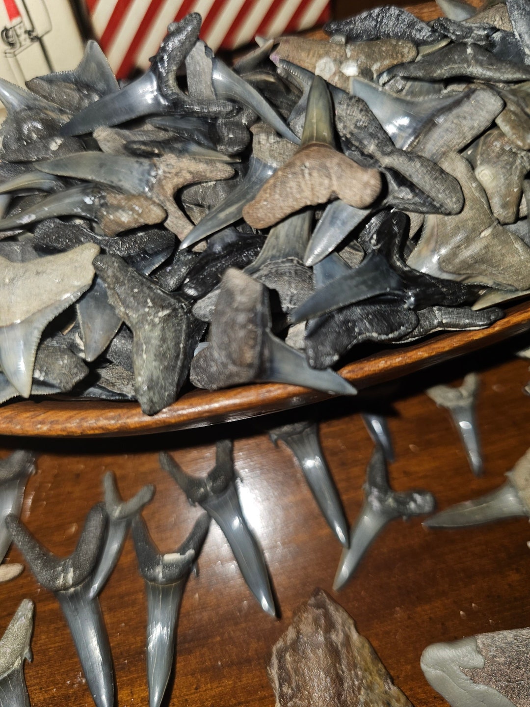 Holiday Stocking Stuffer Shark Teeth Kit - Etsy