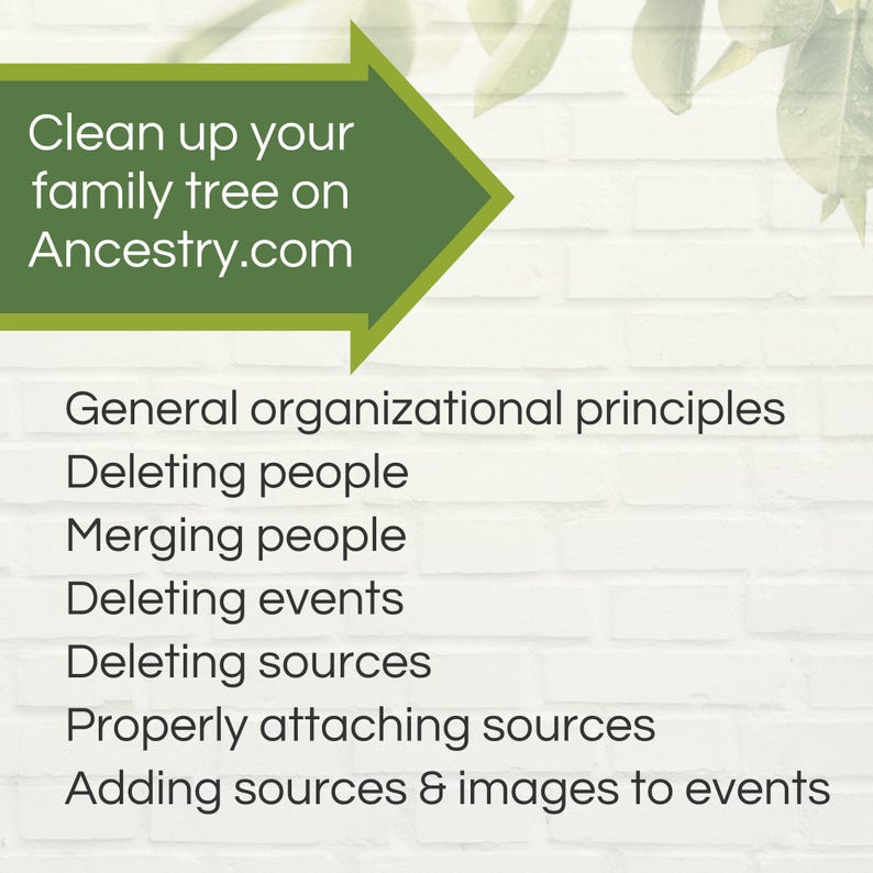 Cleaning up Your Ancestry Tree - Etsy