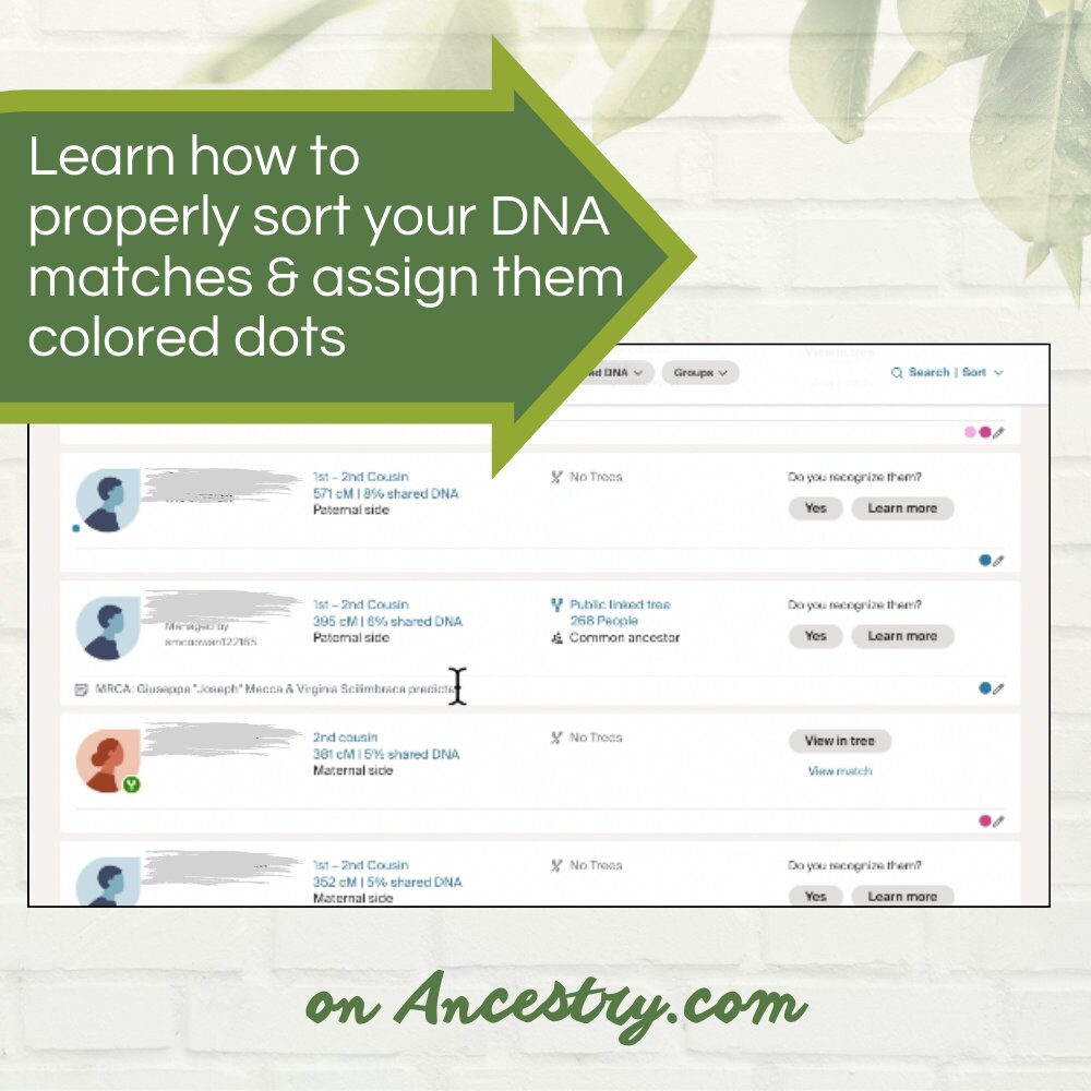 Sorting DNA Matches on Ancestry - Etsy