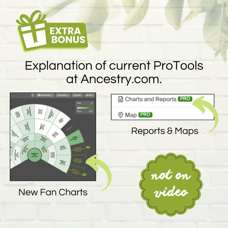 Ancestry.com Guide - Take a Tour of Ancestry & Build a Tree - Etsy
