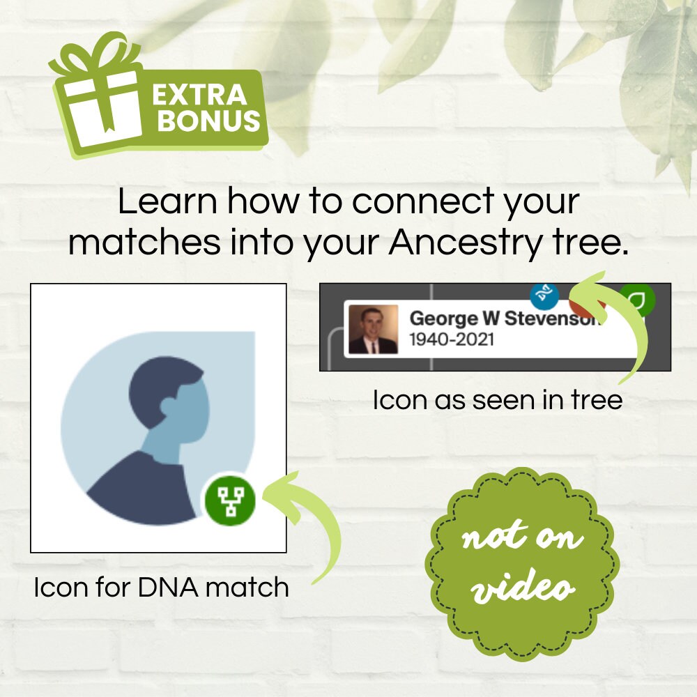 Sorting DNA Matches on Ancestry - Etsy