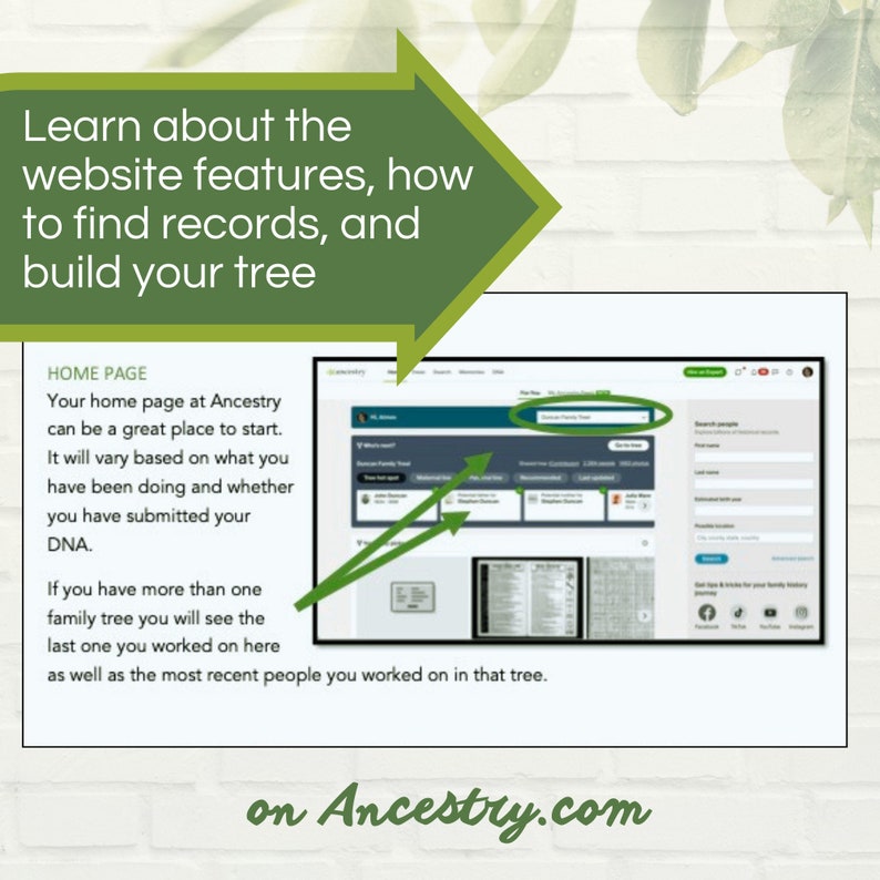 Ancestry.com Guide - Take a Tour of Ancestry & Build a Tree - Etsy