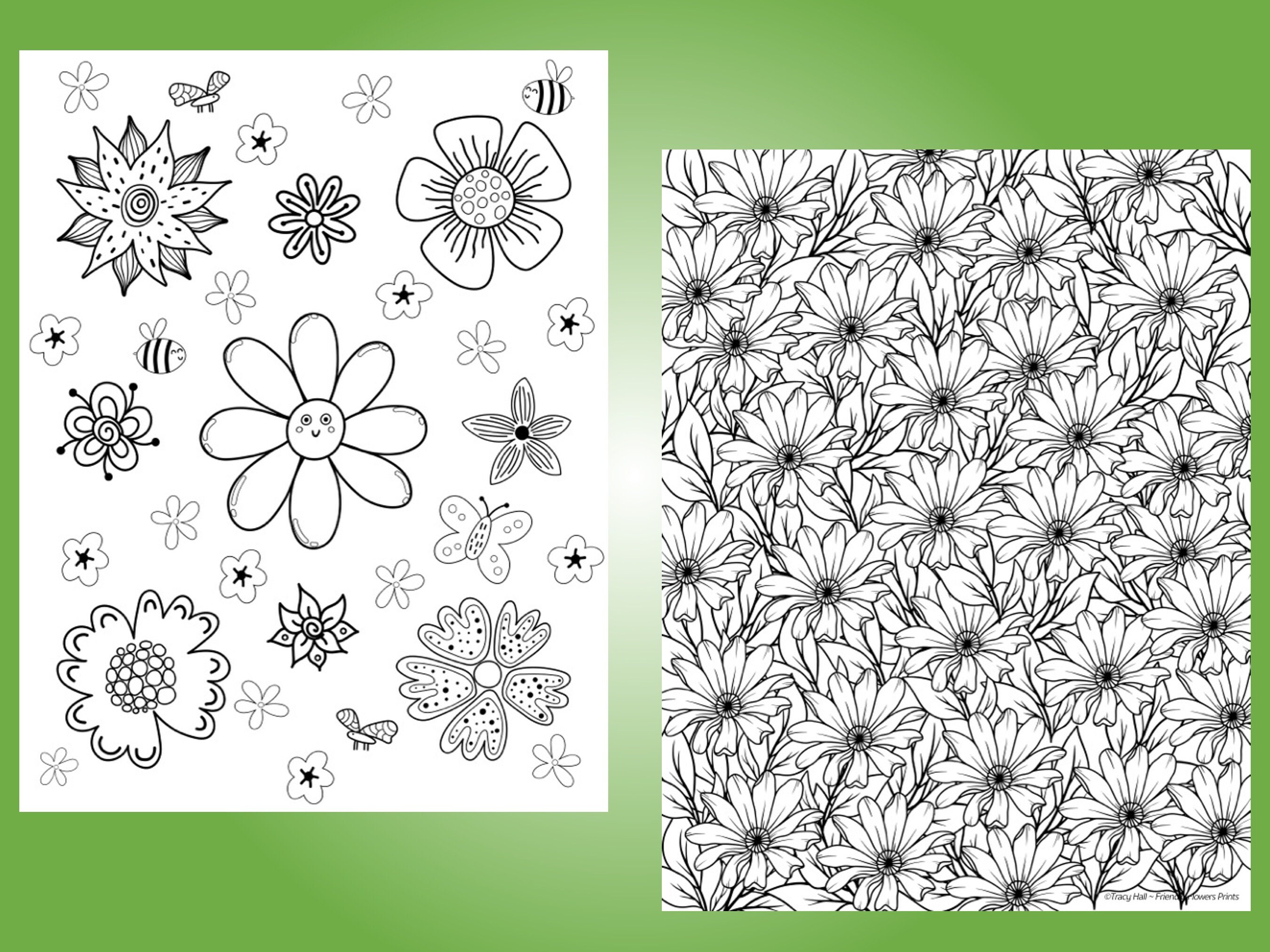 8 Fun Flower Coloring Pages, Adults & Kids, Printable PDF, Instant ...