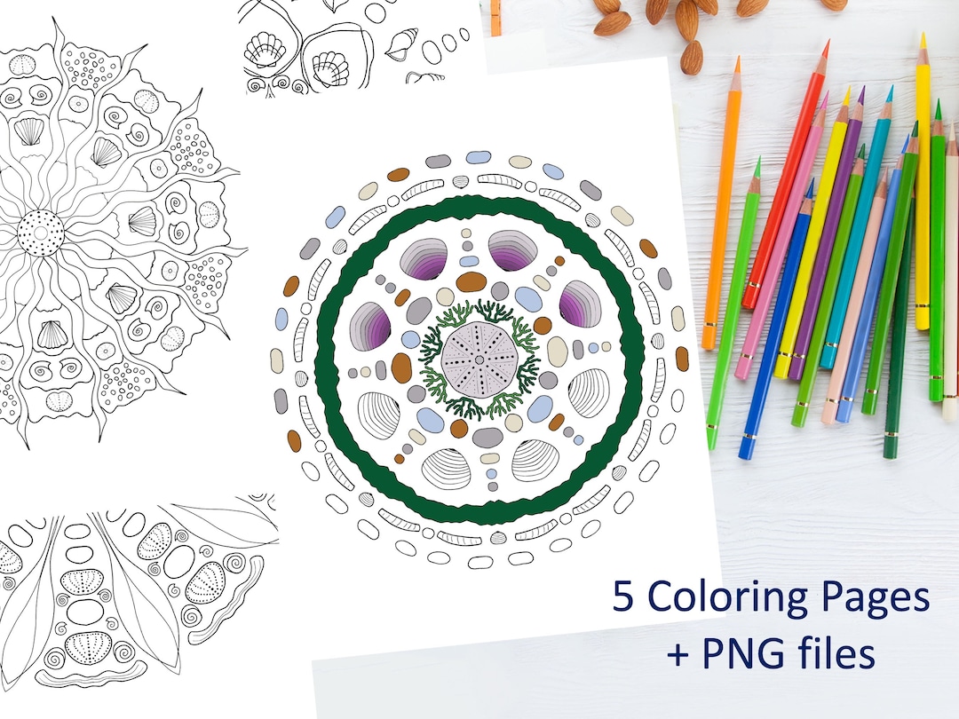 5 Hand Drawn Seashell Mandala Coloring Pages, Printable PDF, PNG ...