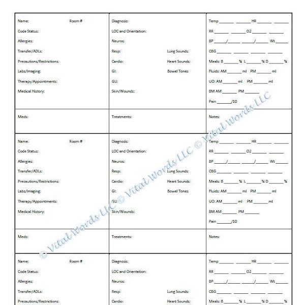 Snf Report Sheet - Etsy