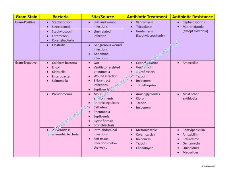 Bacterial Organisms and Antibiotic Treatment Chart - Etsy