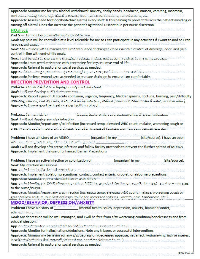Nursing Basic Care Plan Template for LTC/ICF/SNF - Etsy