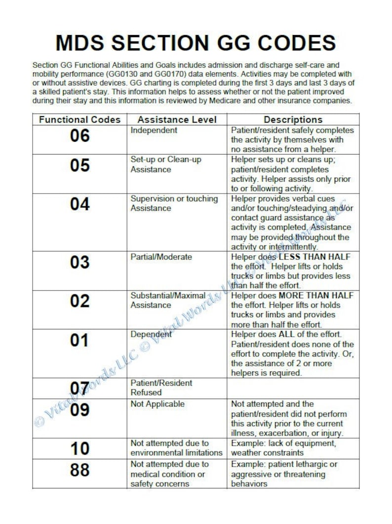 Reference Sheet for Cnas for MDS GG Charting Codes - Etsy